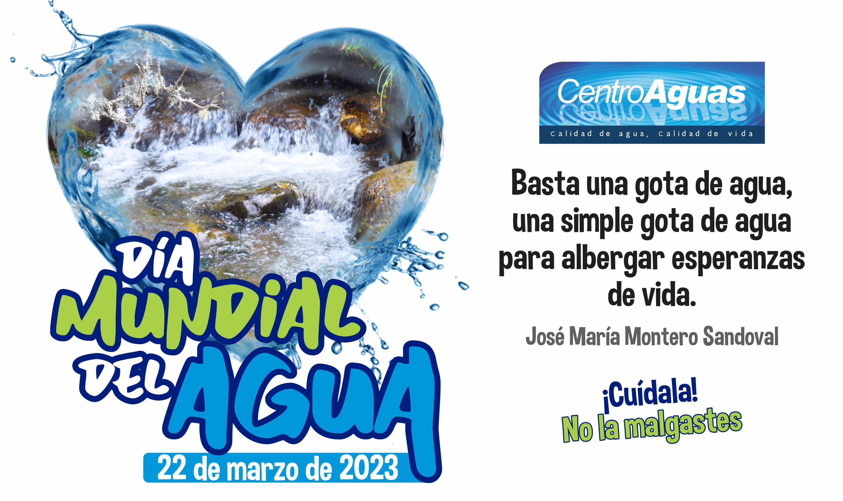Día Mundial del Agua